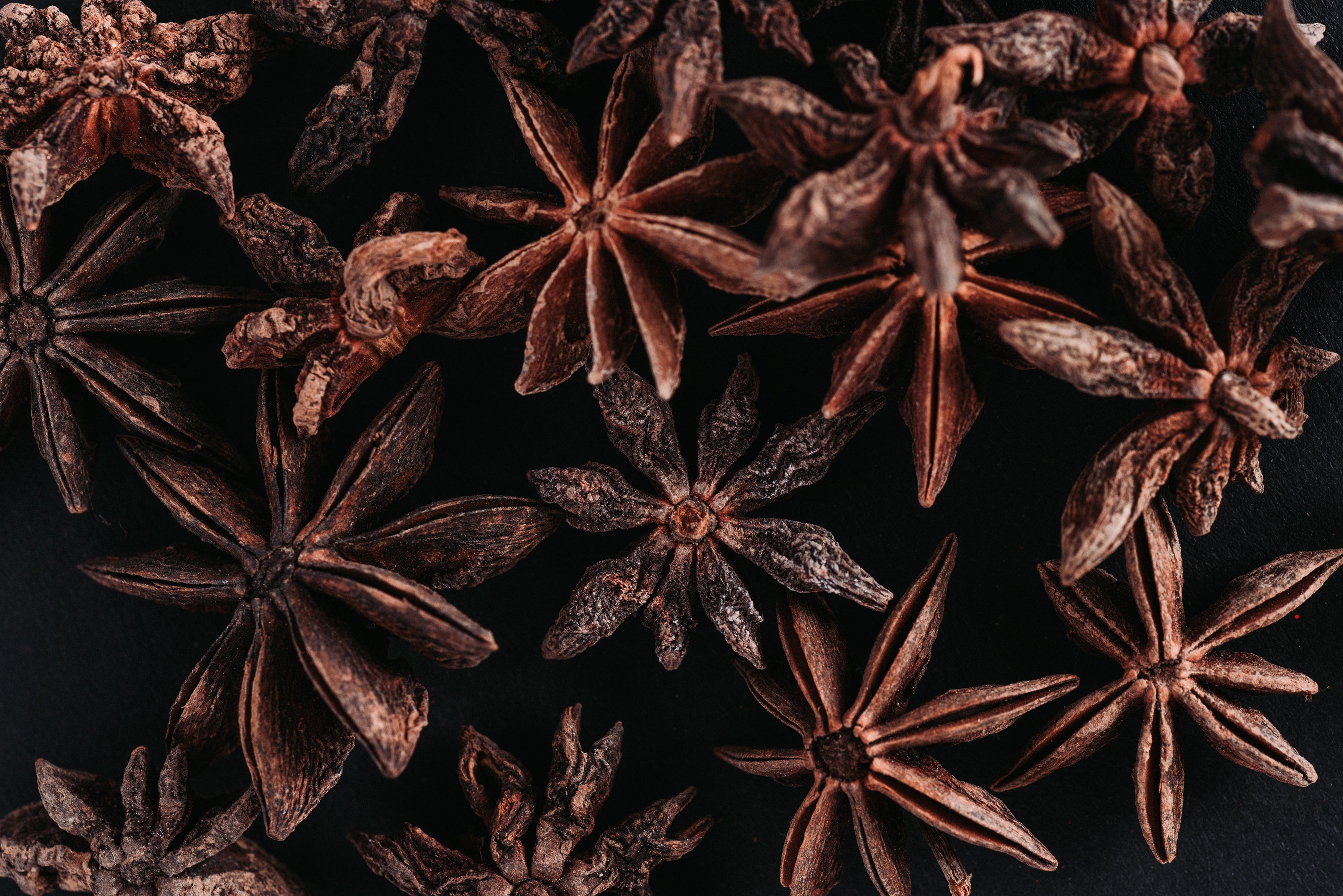 Organic Star Anise Baby Pouch | Kekoa Foods